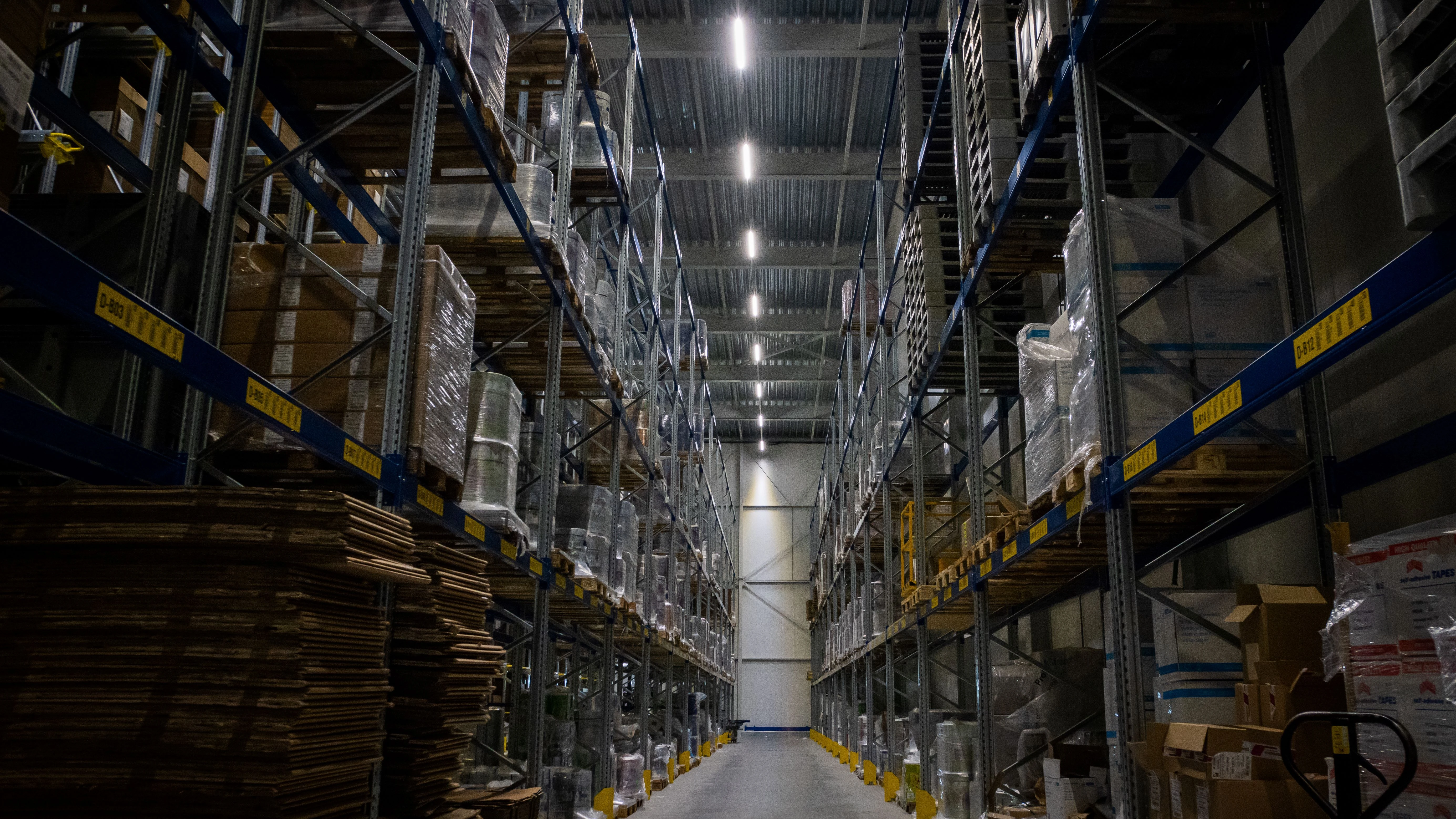 Frost Service | Cold & freezer room lighting | Magnus | Cold storage